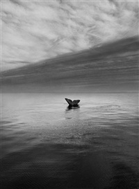 Sebastião Salgado | Artnet