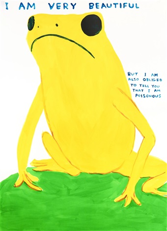I Am Very Beautiful - Frog by David Shrigley on artnet