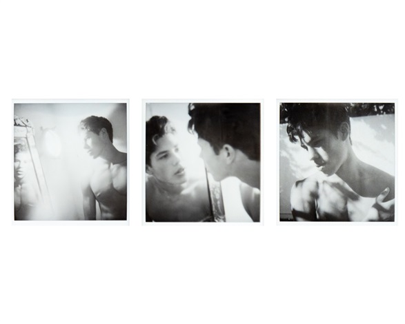 David, A Walt Whitman Fan, Golden Beach, FL triptyc by Bruce Weber on ...