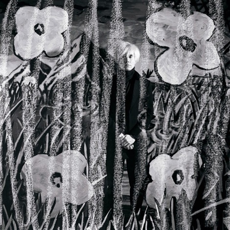 Andy Warhol Achures by Louis Jammes on artnet