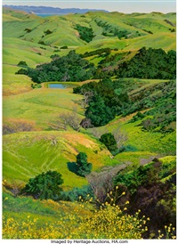 Peter Loftus | Artnet