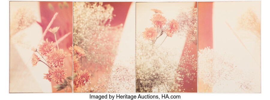 Untitled 4 works by Jan Groover on artnet