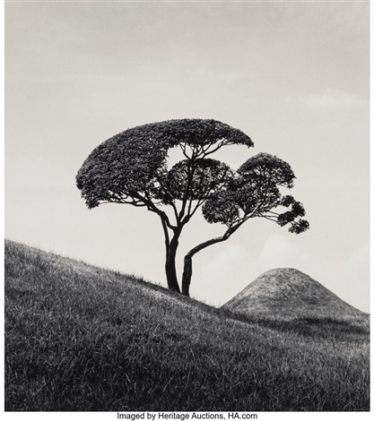 Tree and Mountain, Suizenji, Joju-en Garden, Kyushu, Japan by Michael ...