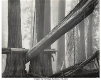 Bruce Barnbaum | Artnet