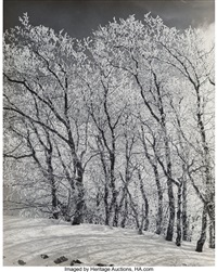 Bruce Barnbaum | Artnet