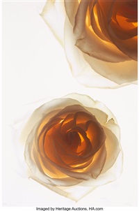 Paul Solberg | Artnet