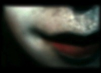 Ann Hamilton | Artnet