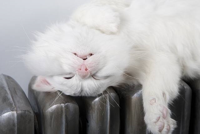 Month by Mu Boyan on artnet