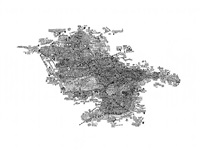 Stephen Walter | Artnet