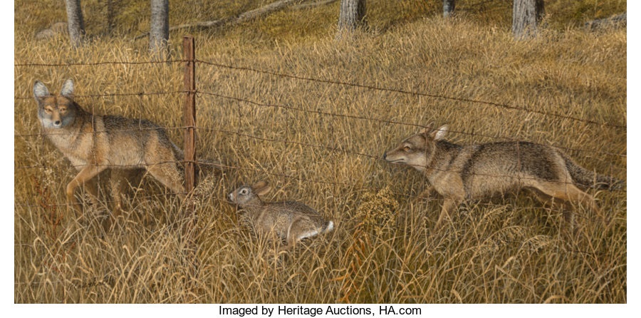 Coyotes with Rabbit by Richard Plasschaert on artnet