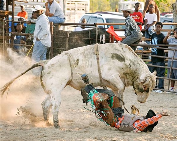 Black Cowboys Bull Riding Rider III, Ladays Arena, Lovelady, Texas by ...
