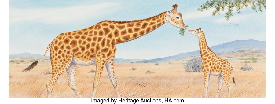 I can Read about Baby Animals by Peter Barrett on artnet