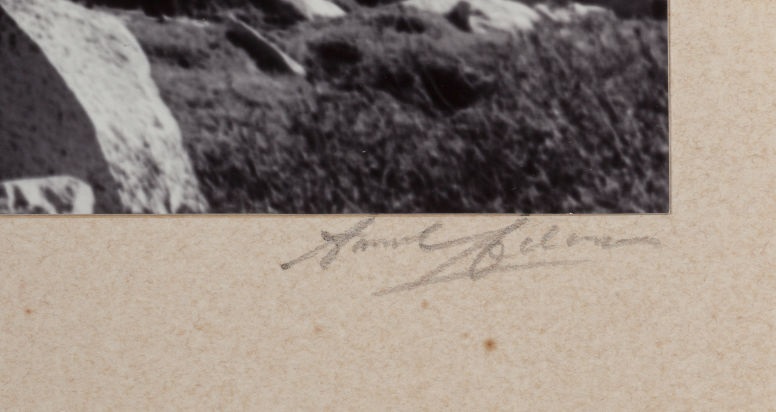 Kearsarge Pinnacles, Kings Canyon National Park, California, 1937 by ...