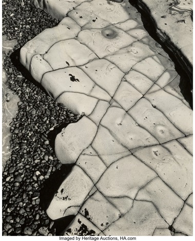 Point Lobos by Edward Weston on artnet