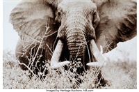 Peter Beard | Artnet | Page 2