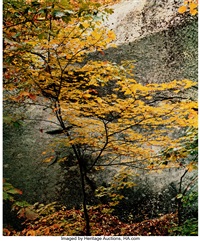 Eliot Porter | Artnet