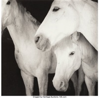 Jon Goodman | Artnet