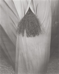 Andrea Modica | Artnet