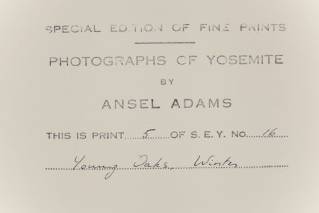 Oak Tree, Winter, Yosemite Valley, by Ansel Adams on artnet