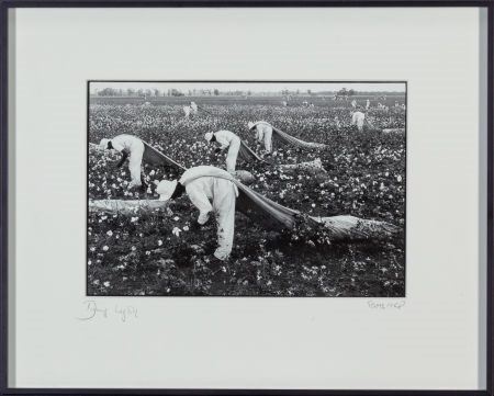 Cotton Pickers, Ferguson Unit, TDCJ, Texas, by Danny Lyon on artnet