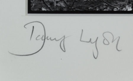 Cotton Pickers, Ferguson Unit, TDCJ, Texas, by Danny Lyon on artnet