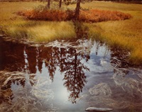 Steve Crouch | Artnet