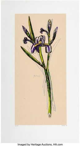 Iris by David Bates on artnet