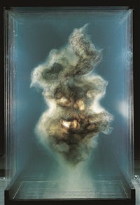 Xia Xiaowan | Artnet