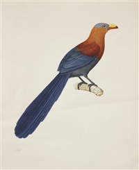 Nicolas Huet | Artnet