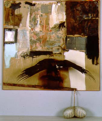 Robert Rauschenberg Canyon
