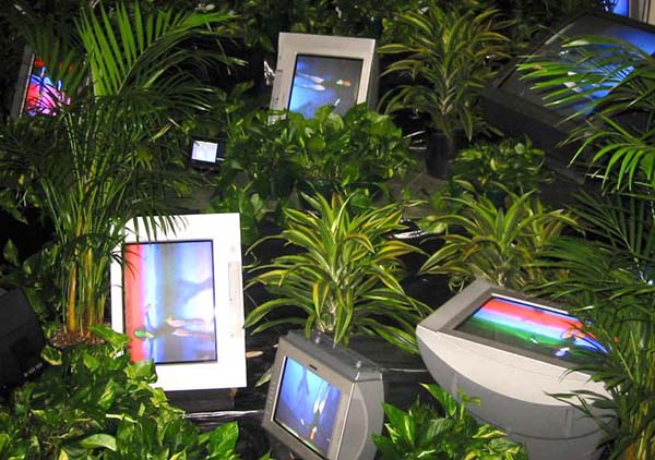Nam June Paik Tv Garden | Fasci Garden